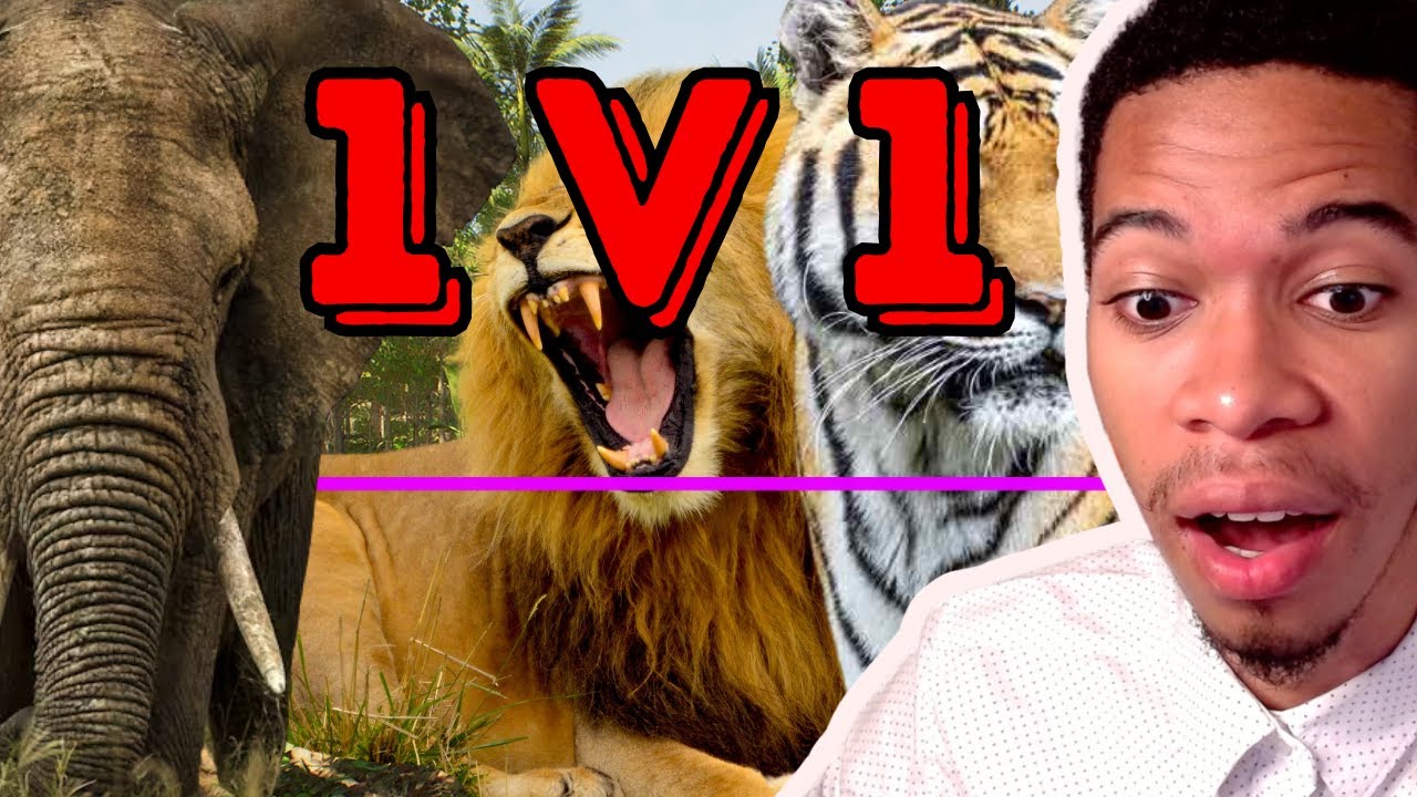 Animal 1v1: Who Would WIN?! 🦁 (Shocking Results) - YouTube