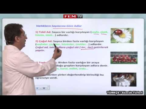 Sozcuk Turleri   Isim