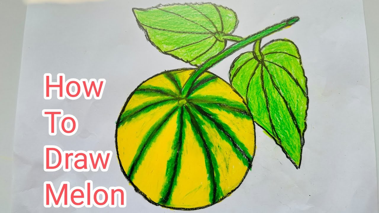 How To Draw Melon - YouTube