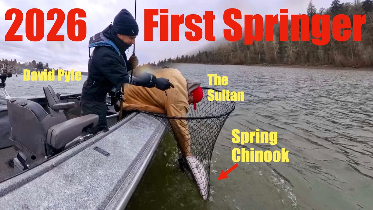 2026 Willamette Springers: The First One is in the Boat. - YouTube