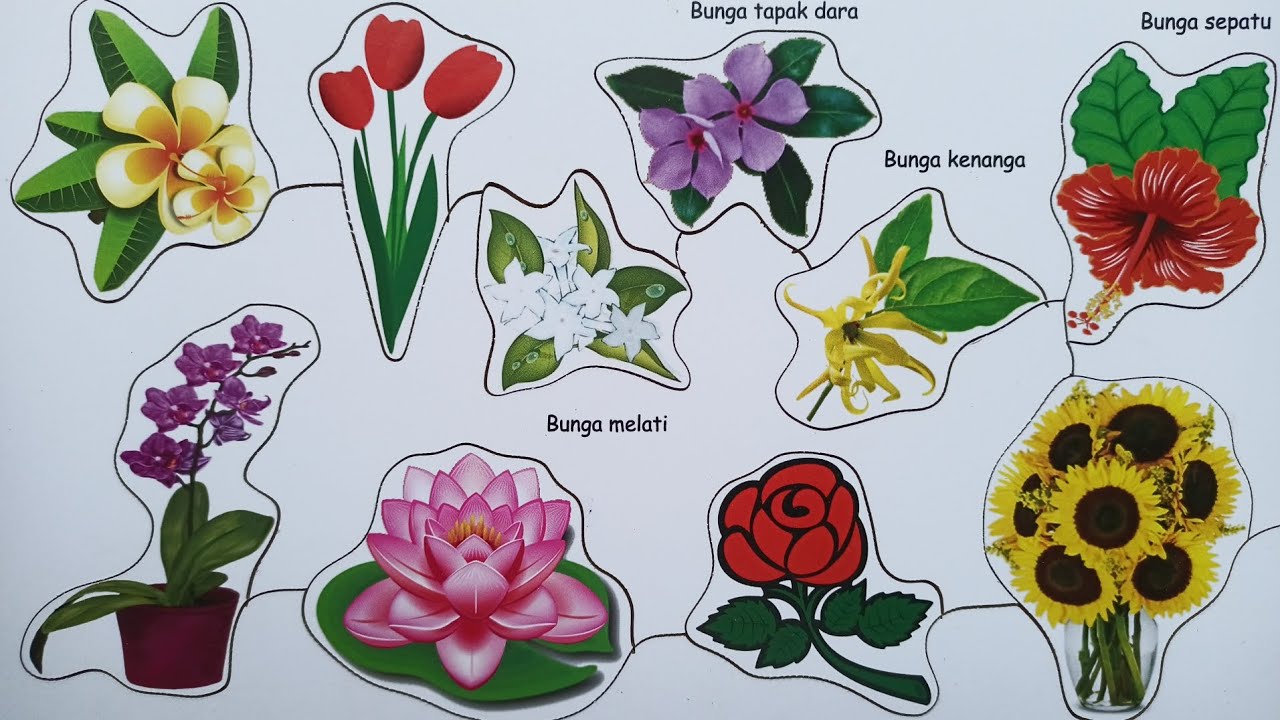 PUZZLE BUNGA - YouTube