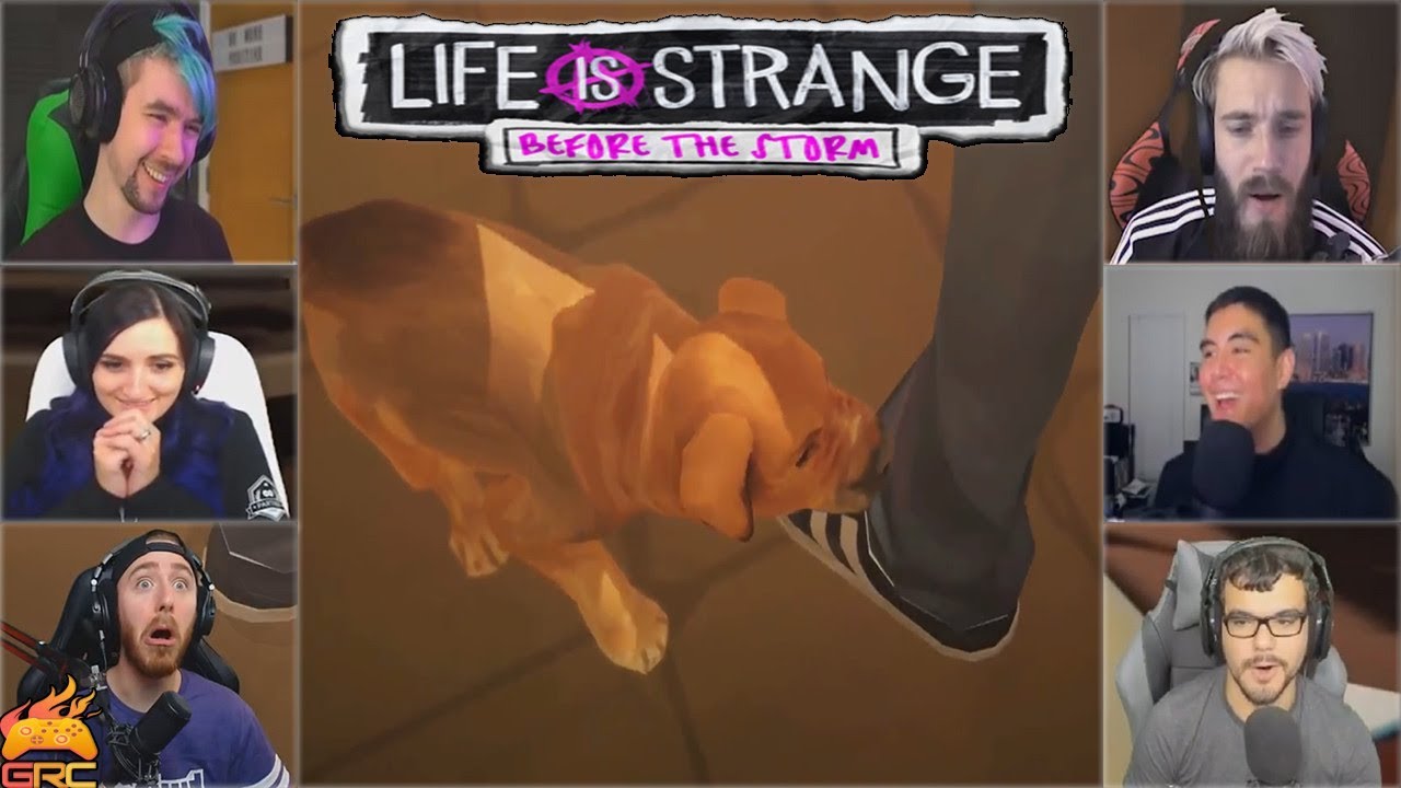 Gamers Reactions to the Puppy Pompidou | Life is Strange: Before the ...