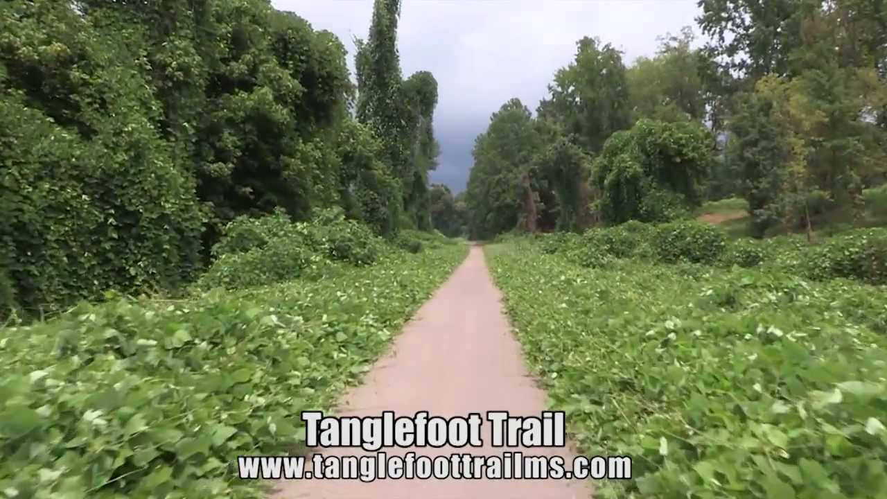 Tanglefoot Trail - YouTube