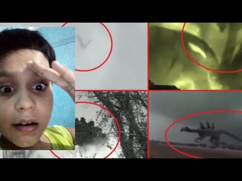 king ghidorah cought in camera real life - YouTube