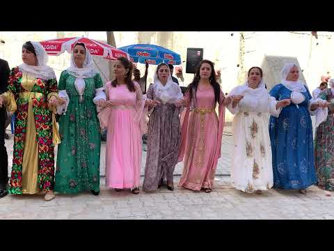 Şırnak Düğünleri Umut Yardımcı Düğünü Yardımcı Ailesinin Mutlu Günü Part 1