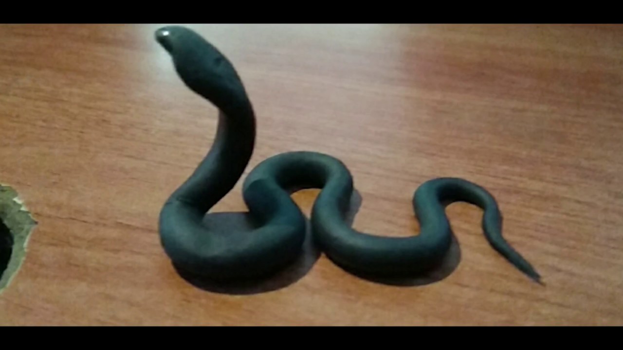 Clay Animation | Quick work | snake and Rat | Shot on Mobile | Stop ...
