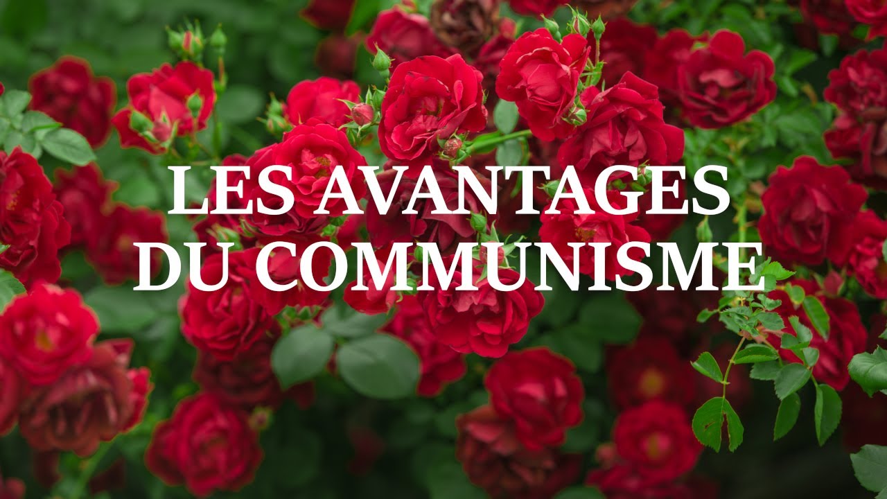 Les Avantages du Communisme au XXième siécle - YouTube