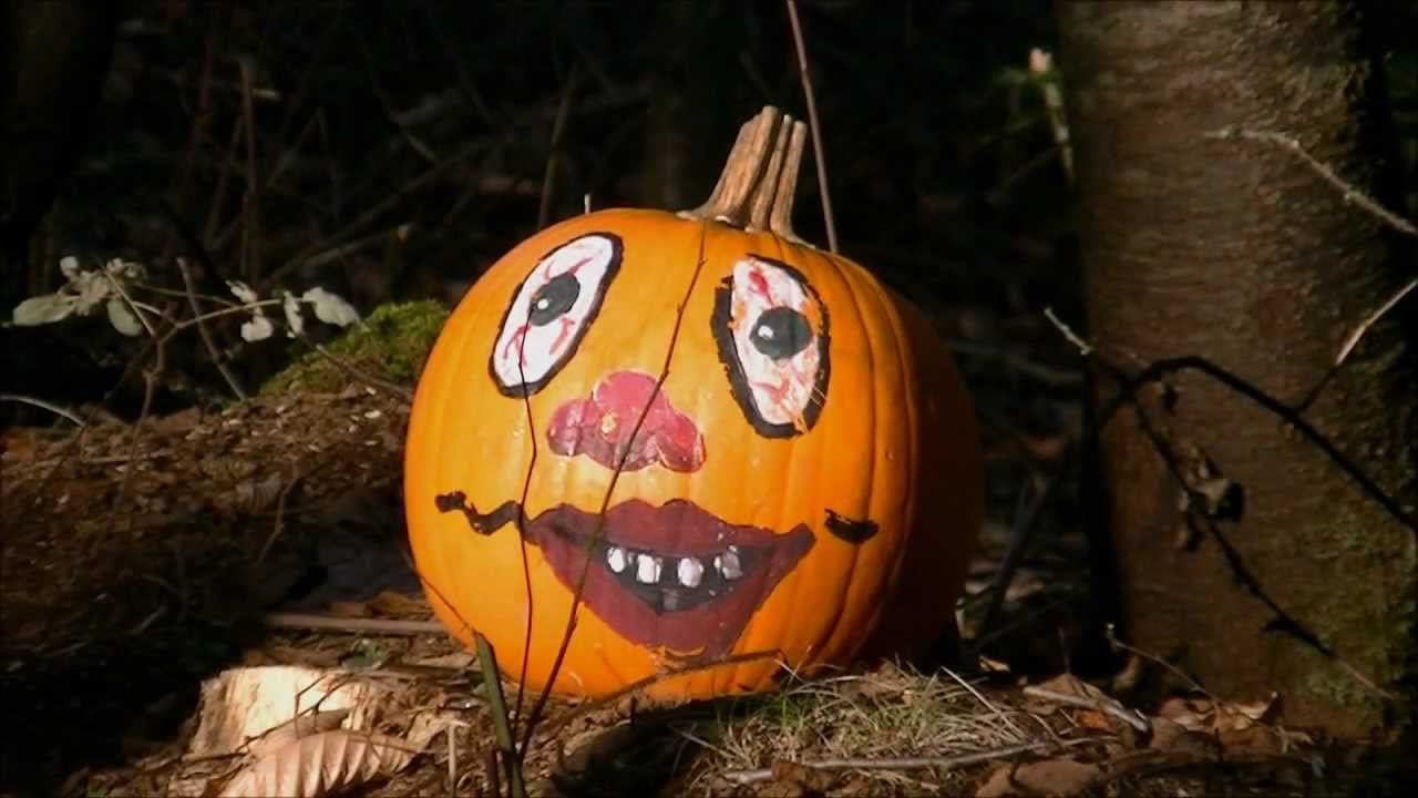 Pumpkin Hunting With a .410 Shotgun - YouTube