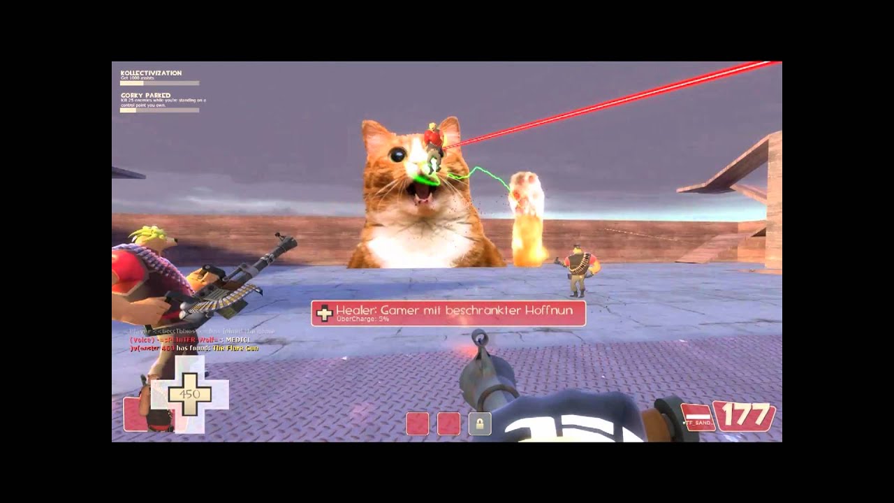 What happens when Crazy Angry cat invades Team Fortress 2 - YouTube