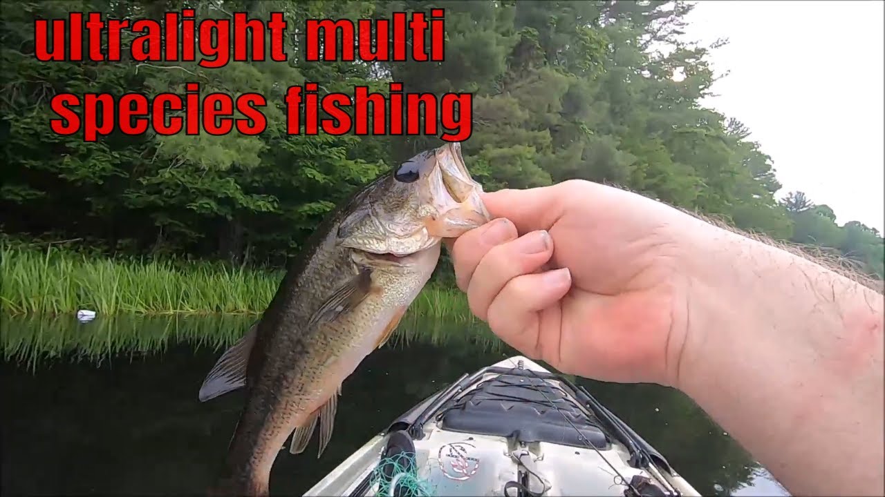 ultralight multi species fishing how to catch them with out a fish ...