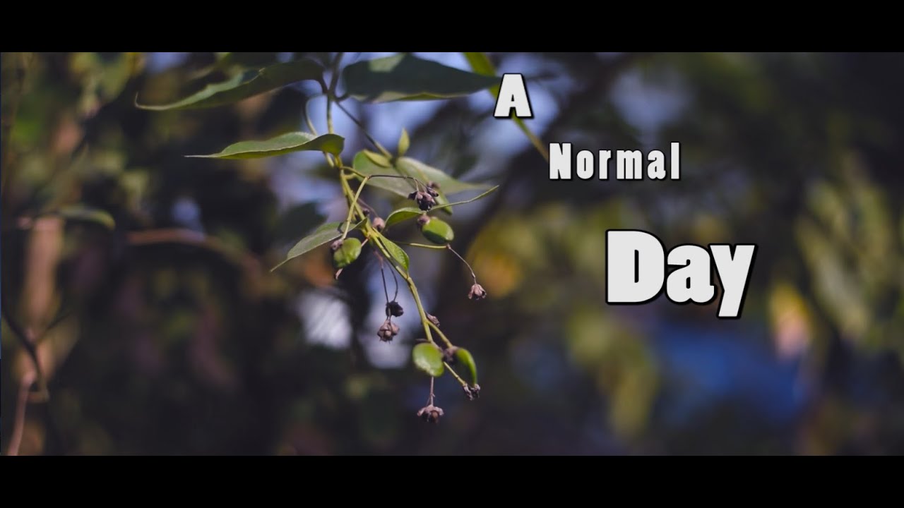 A Normal day || short film || Ep 1 - YouTube