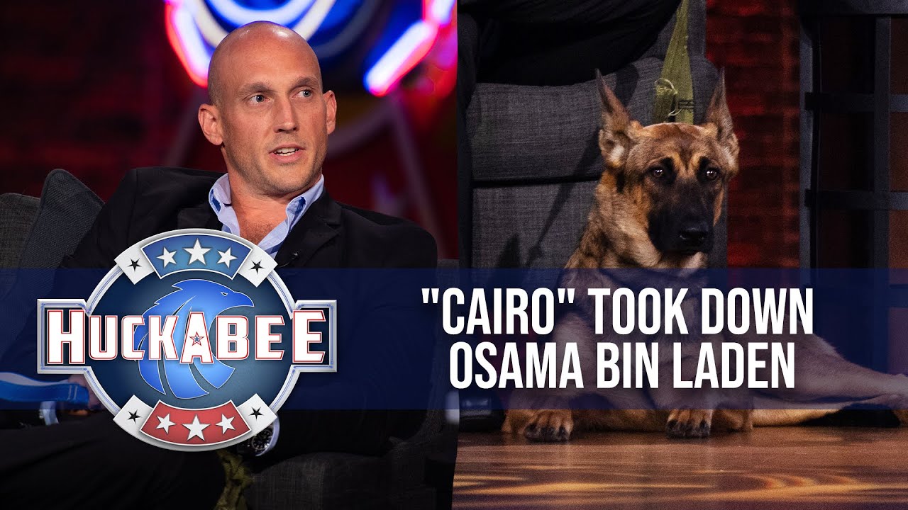 No Ordinary Dog: How "Cairo" TOOK DOWN Osama Bin Laden | Navy SEAL Will ...