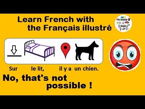 What a French dog ! Le chien de Louise - Le français illustré #15 - YouTube