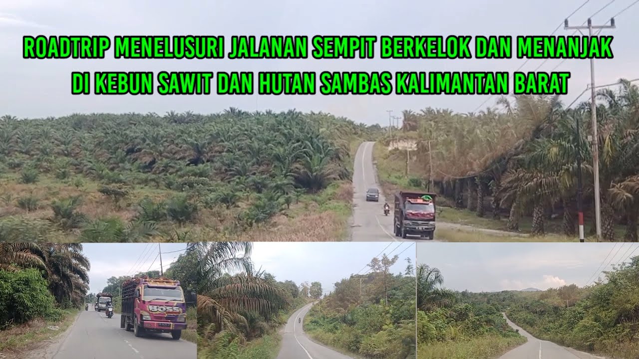 ROADTRIP MENELUSURI JALANAN SEMPIT BERKELOK MENANJAK DI KEBUN SAWIT DAN ...