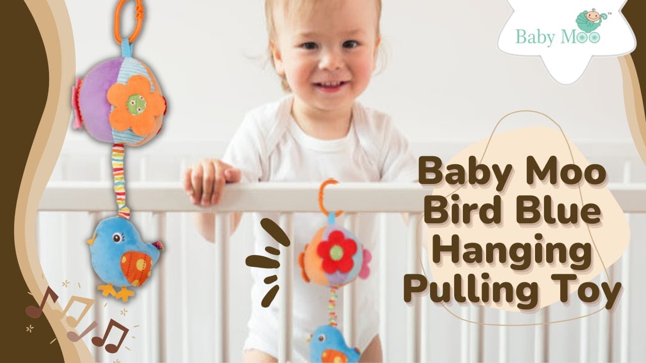 Baby Moo Bird Blue Hanging Pulling Toy - YouTube