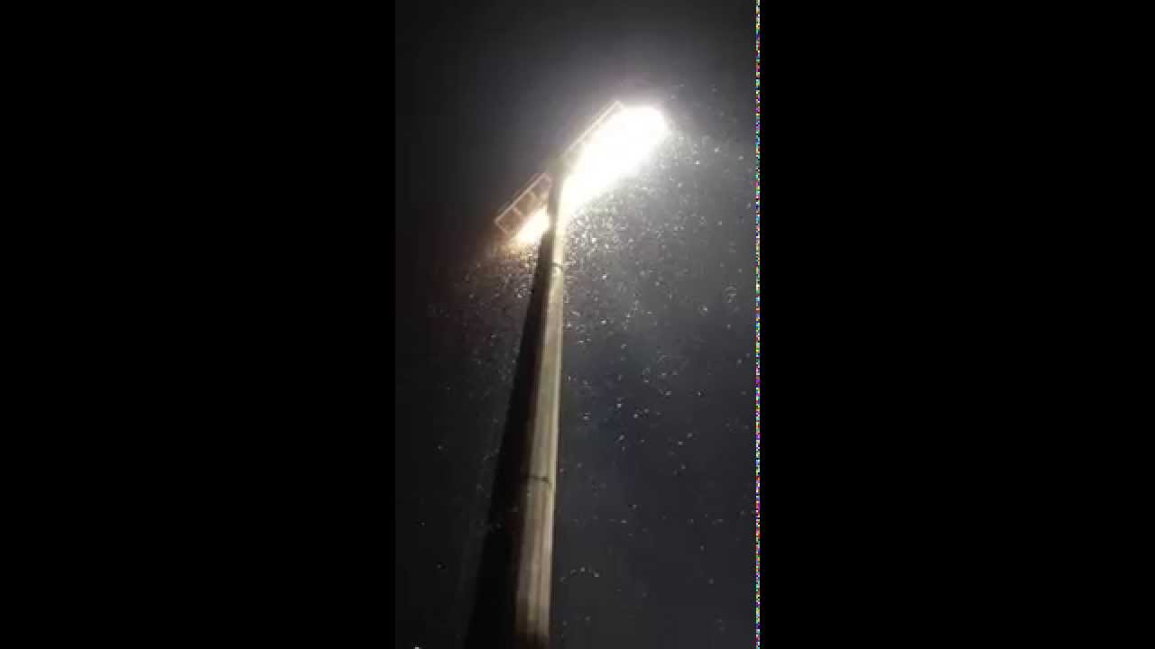 The Floodlight Effect - YouTube