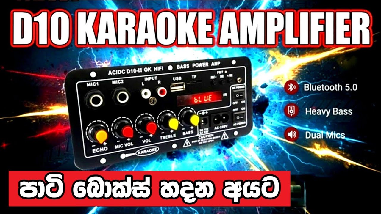 D10 Karaoke Amplifier 30W | Party Box Amp - YouTube