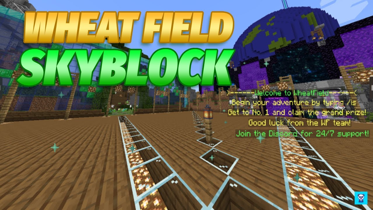 WheatField Skyblock | Chill Music - YouTube