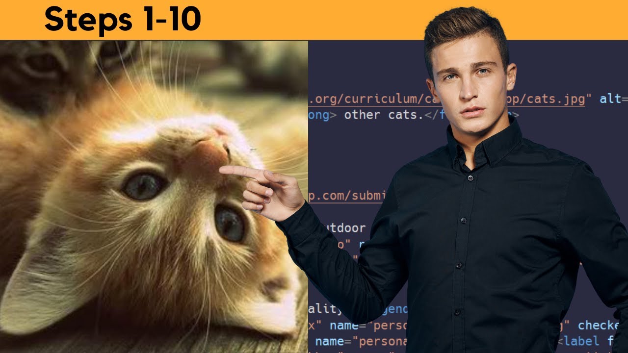 Learn HTML by Building a Cat Photo App (1-10) - YouTube