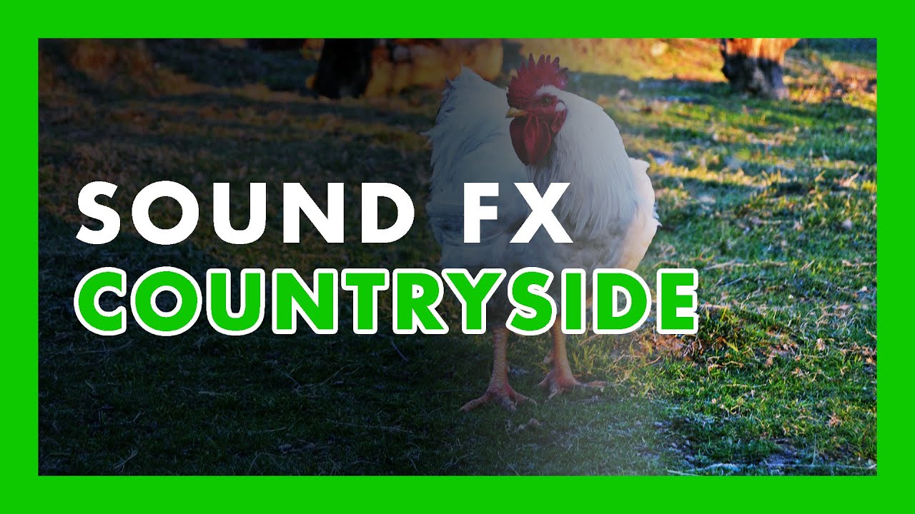 COUNTRYSIDE VILLAGE ambience - (Sound Effect) 🐓🌳 - YouTube