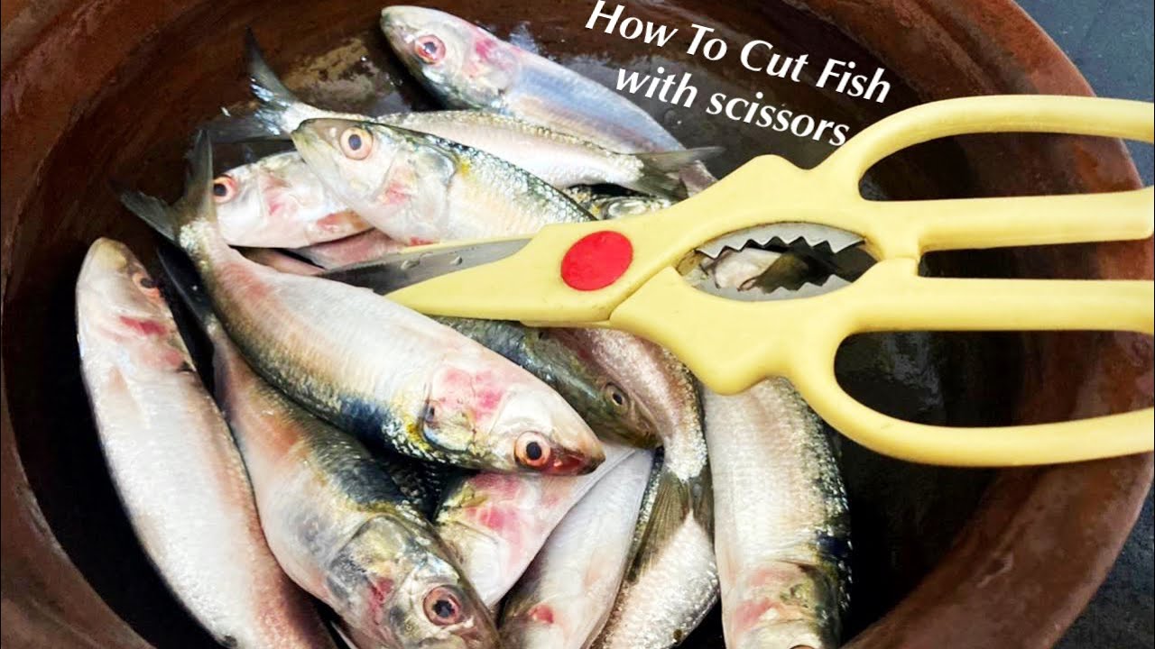 HOW TO CUT FISH WITH SCISSORS /SARDINE FISH CLEANING /HOW TO CLEAN FISH ...