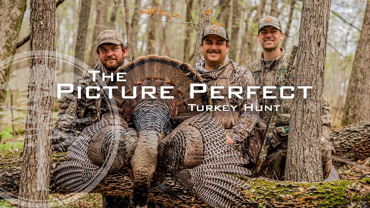 Turkey Hunting- Picture Perfect Hunt! - YouTube