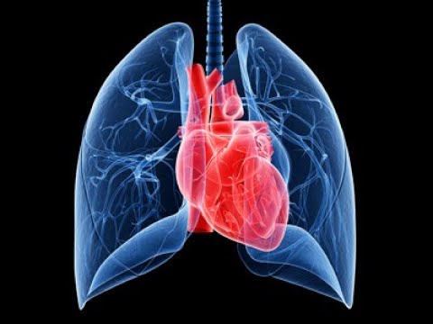 Fisiopatologia Edema Pulmonar Cardiogenico. - YouTube