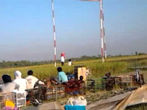 Ngewek di sawah-di tonton warga.. - YouTube