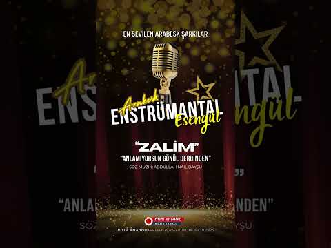 Zalim - Anlamıyorsun gönül derdinden -ESENGÜL  (Enstrümantal cover)
