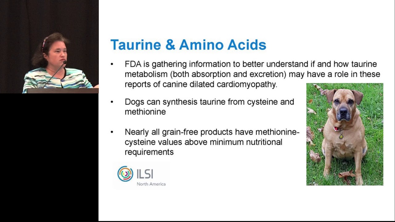 ILSI AM2020: Alternate Protein Sources – Report from ILSI North America ...