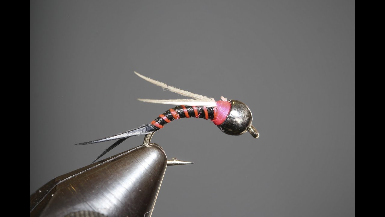 Black Jack- Prince Nymph Variation - YouTube