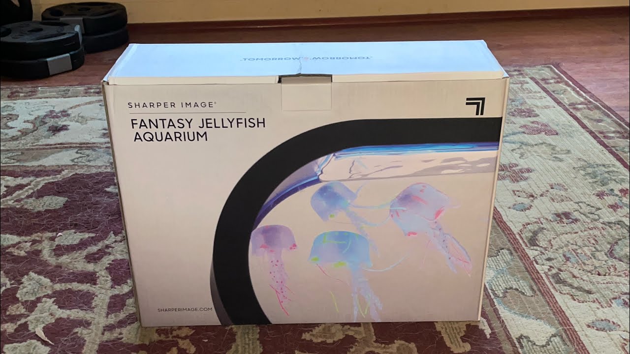 Sharper Image Bubble Aquarium _ LED Hypnotic Bubble Aquarium – FGRA