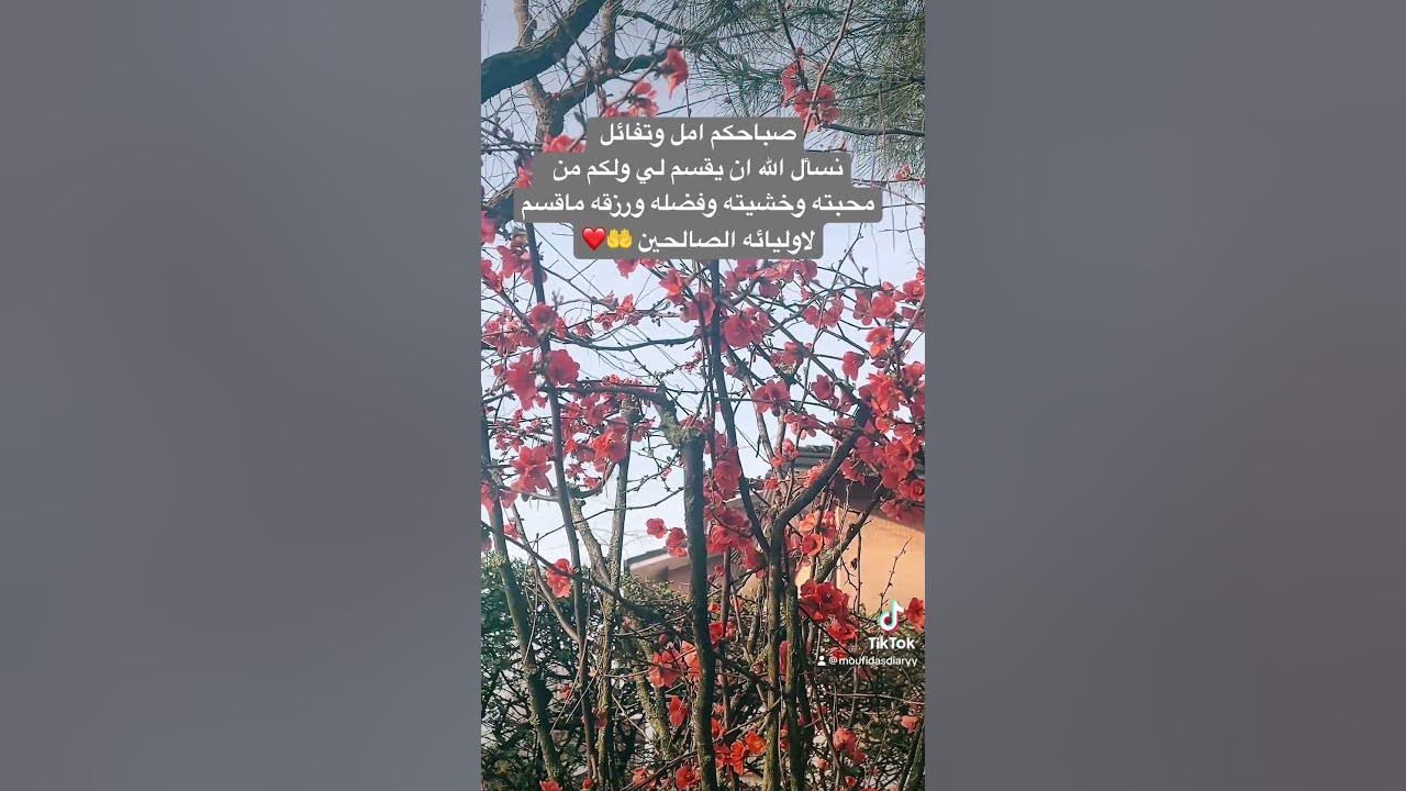 صباحكم امل وتفائل 💕 Youtube