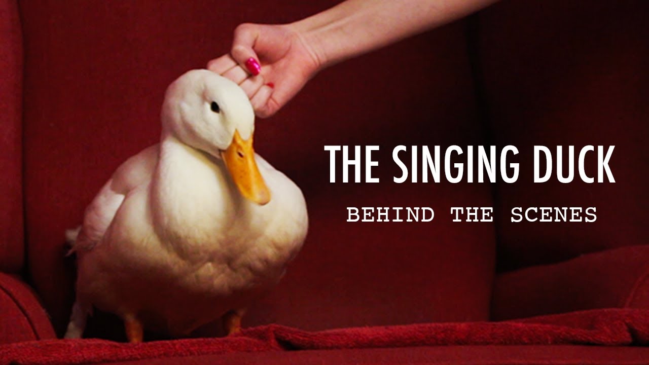 The Singing Duck | Behind the Scenes - YouTube