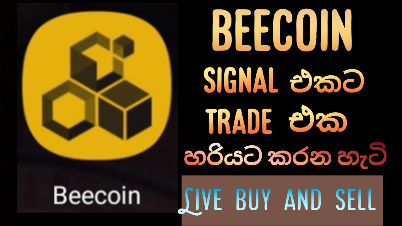 HOW TO TRADE BEECOIN SIGNAL ACCURATELY | සිග්නල් එකට Trade එක දාන්නෙ ...