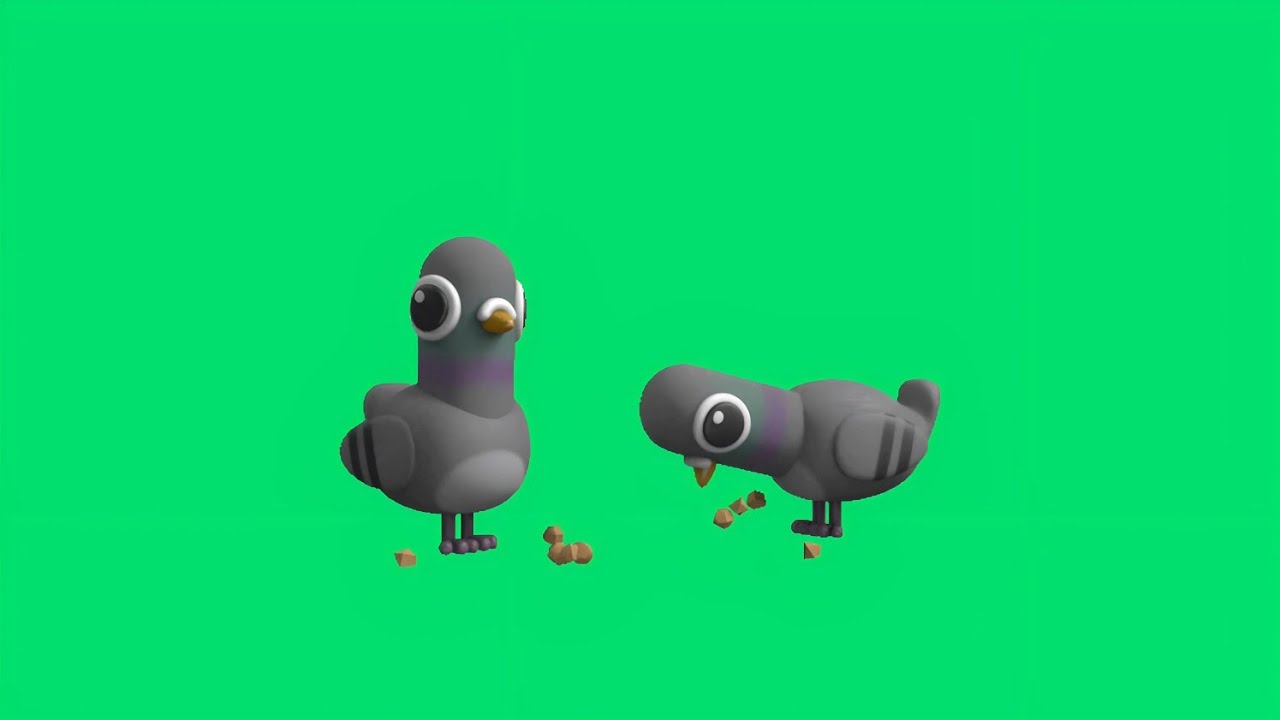 Animated pigeon green screen video no copyright | Cartoon bird eating ...