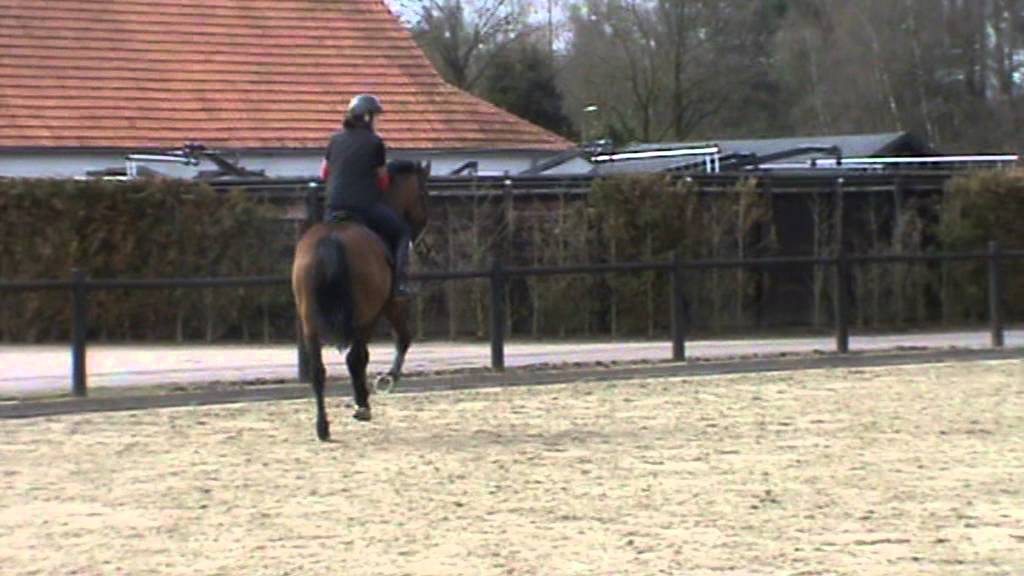 EQUITIME chez Mr Albert Voorn - YouTube