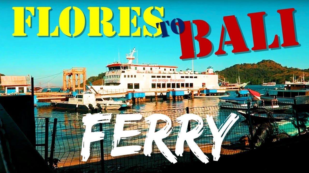 HOW TO GET FROM FLORES TO BALI | BY FERRY AND BUS | Travel Vog 94 - YouTube