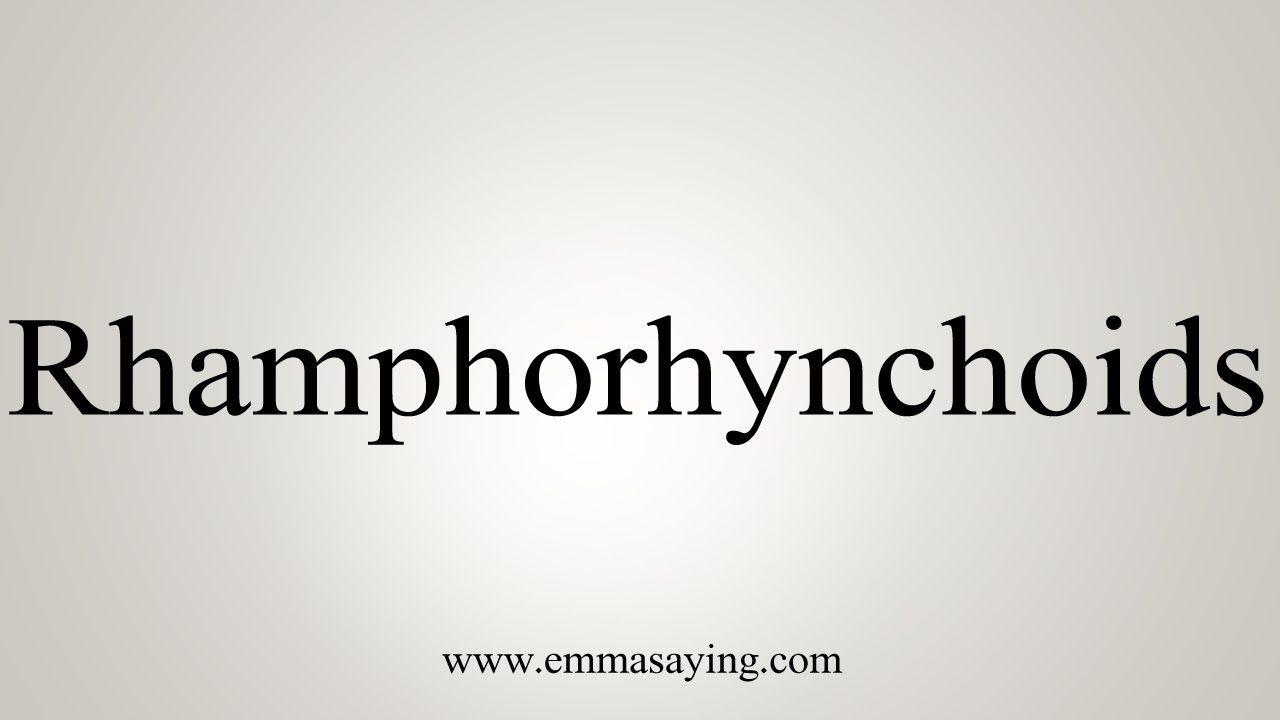 How To Say Rhamphorhynchoids - YouTube