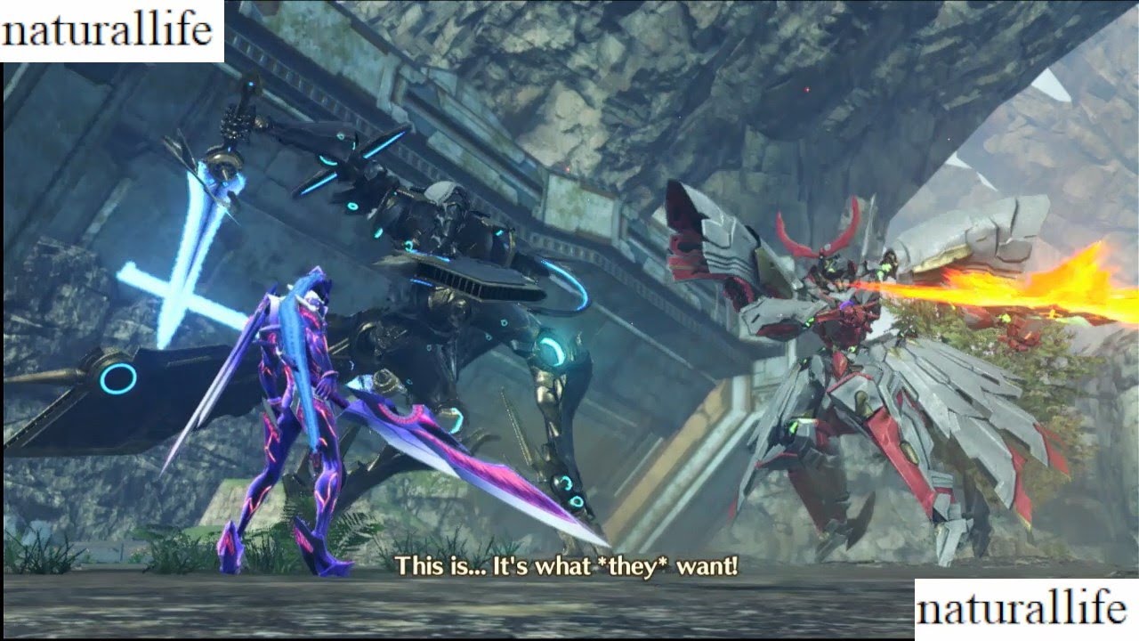 Xenoblade chronicles 3. boss peerless pairing Ethel's Ferronis ...