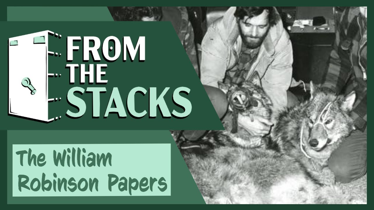 From The Stacks • The Reintroduction of Wolves in the Upper Peninsula ...