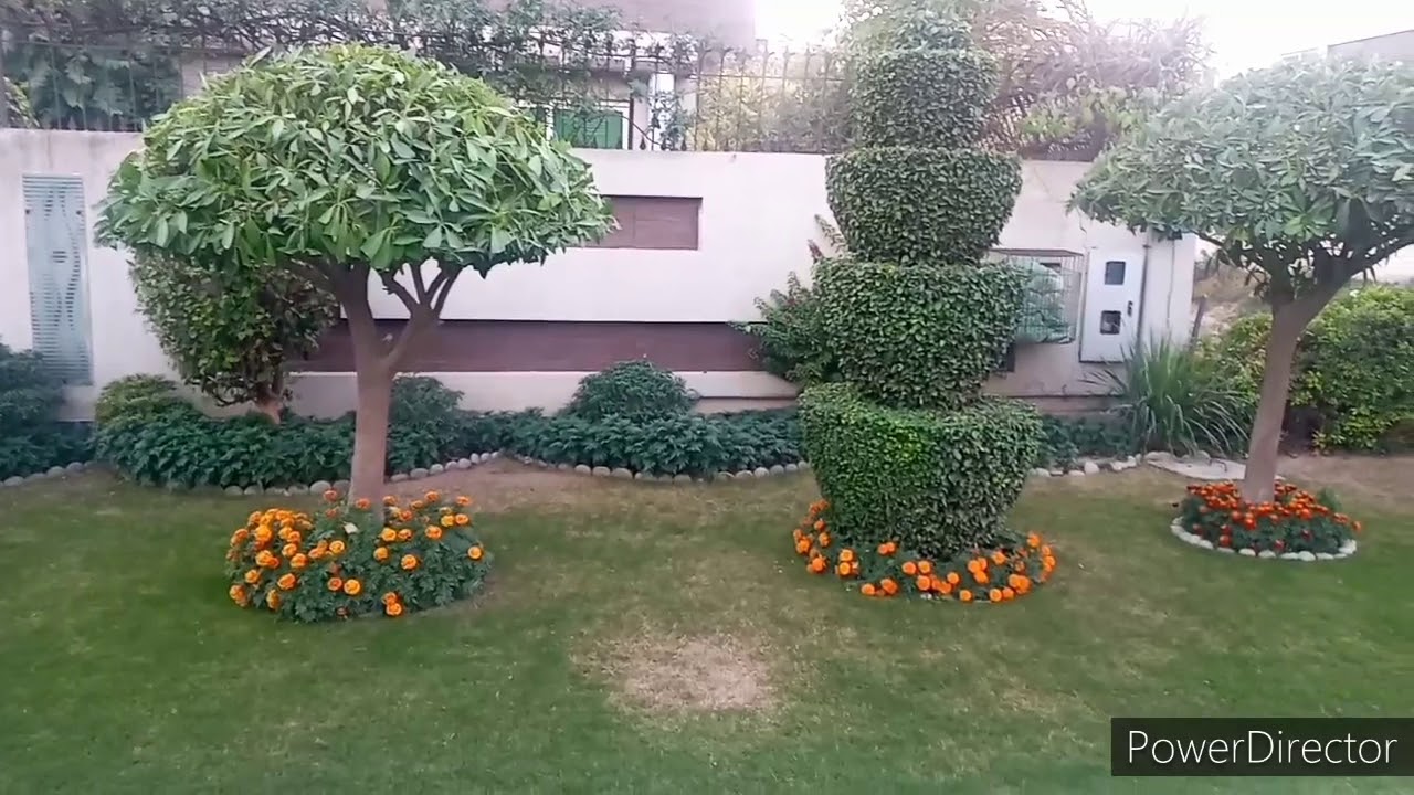 plants cutting and plants designing with landscaping - YouTube