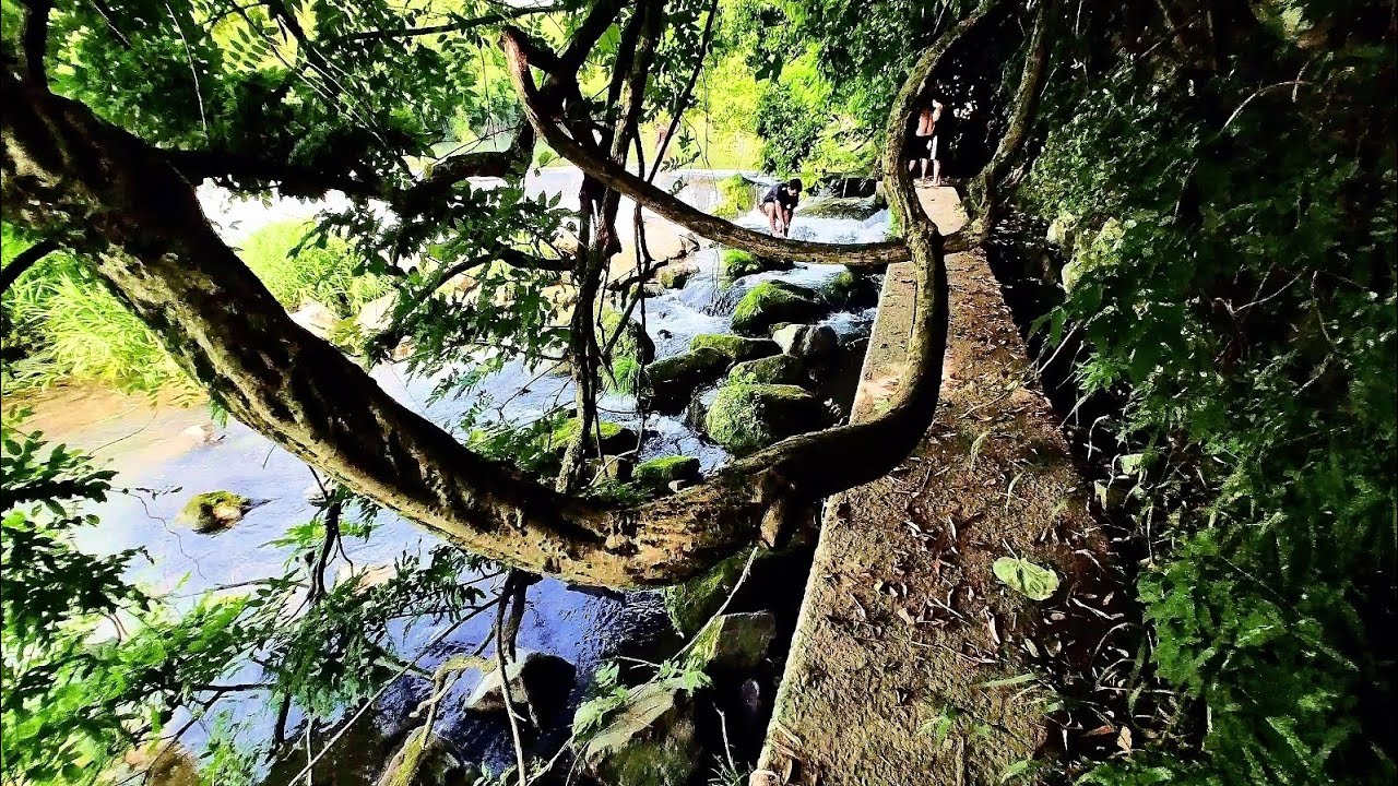 Mga Japan Trainee sa Ilog P1 | Otogawa, Aichi, Japan - YouTube