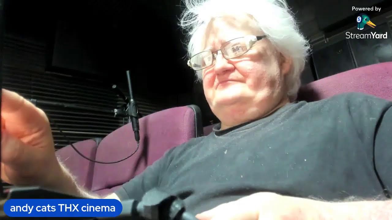 THX real JBL motion picture sound system with cats - YouTube