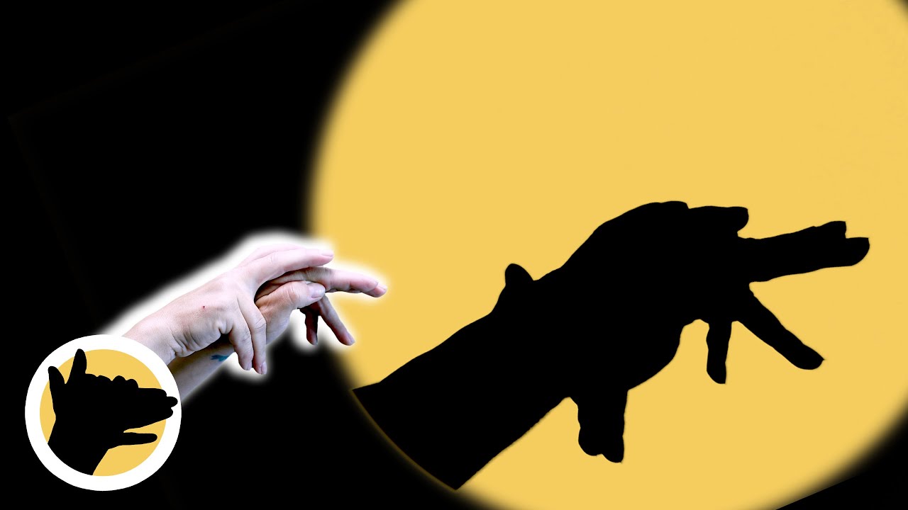 HOW to Make a TURTLE Shadow with Your Hands 🔦🤏🐢 - YouTube