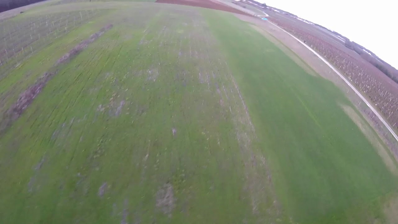 Vortex 230 Mojo ImmersionRC entrainement 3 polackFPV - YouTube