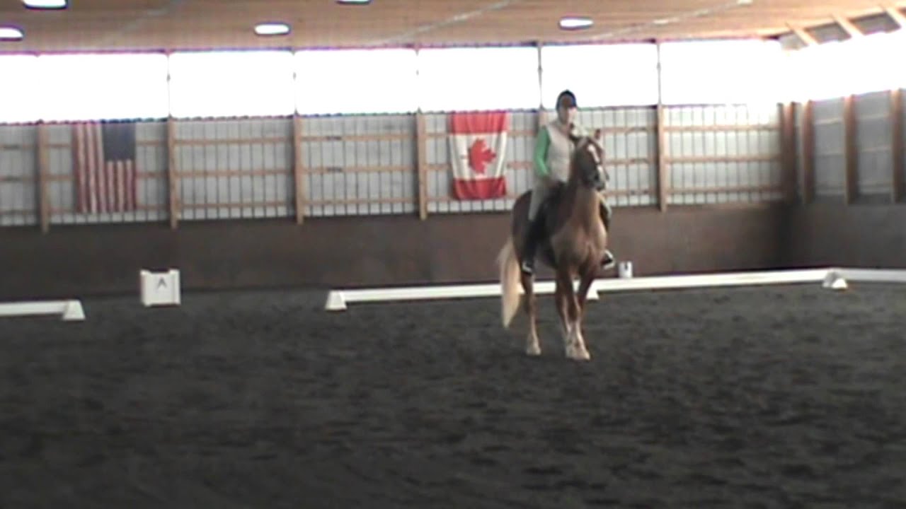 Trish Riding Soleil Bascule Farm Show January 20, 2013 - YouTube