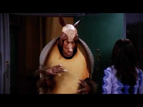 Holiday Armadillo Scene - Friends - YouTube