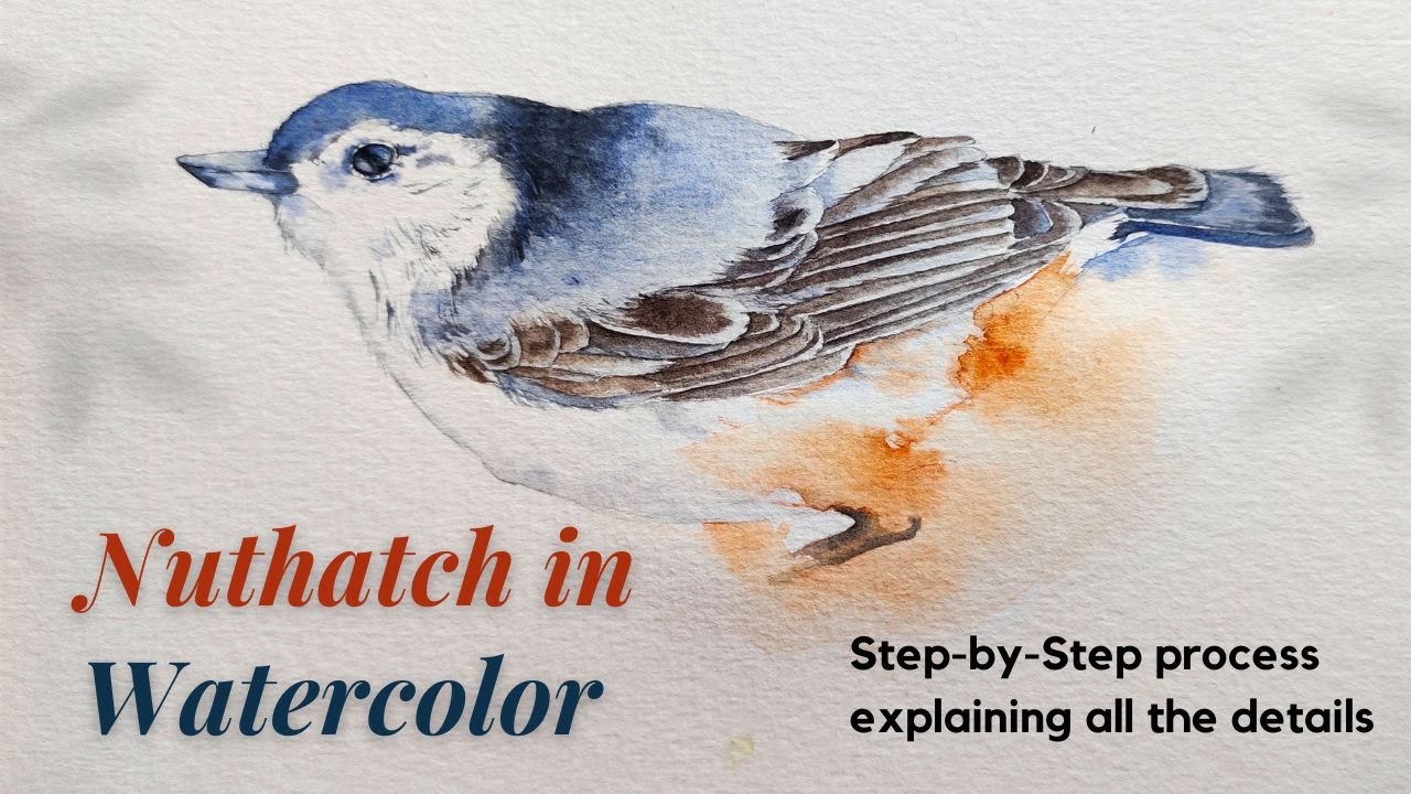 How to paint a Nuthatch in watercolors | Detailed painting process ...