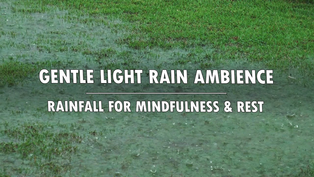 Gentle Light Rain Ambience - Peaceful Rainfall for Mindfulness & Rest ...